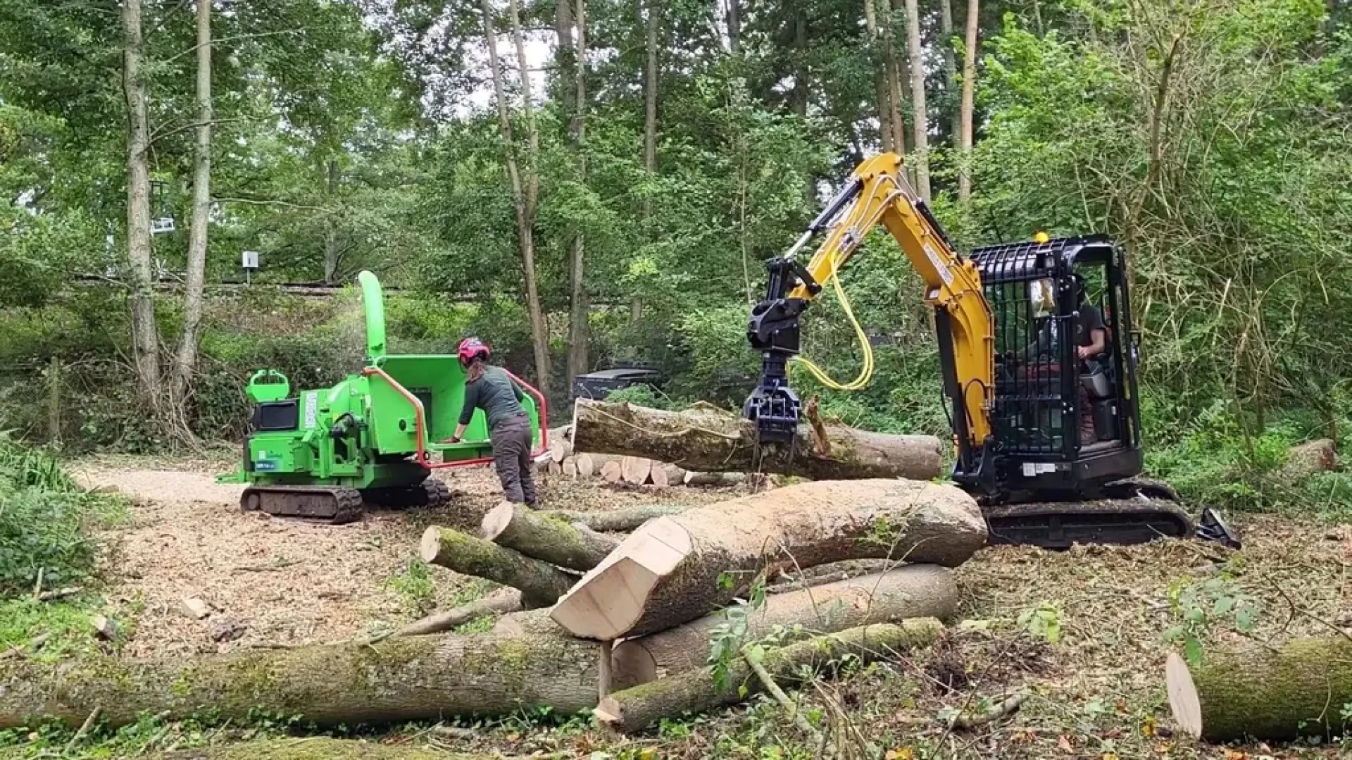 Forestry & Tree Care Services Alton, Hindhead, Farnham, Hampshire