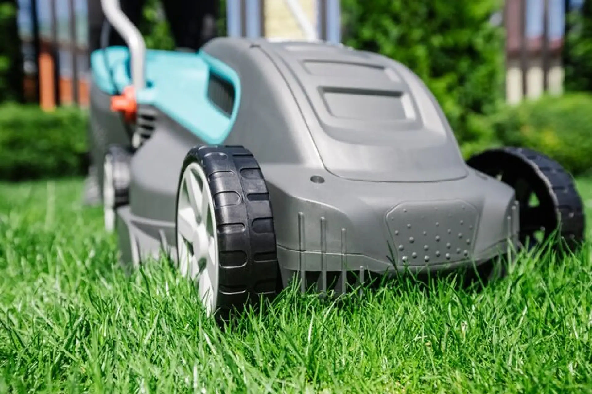 How Often Should You Mow Your Lawn for Best Results?