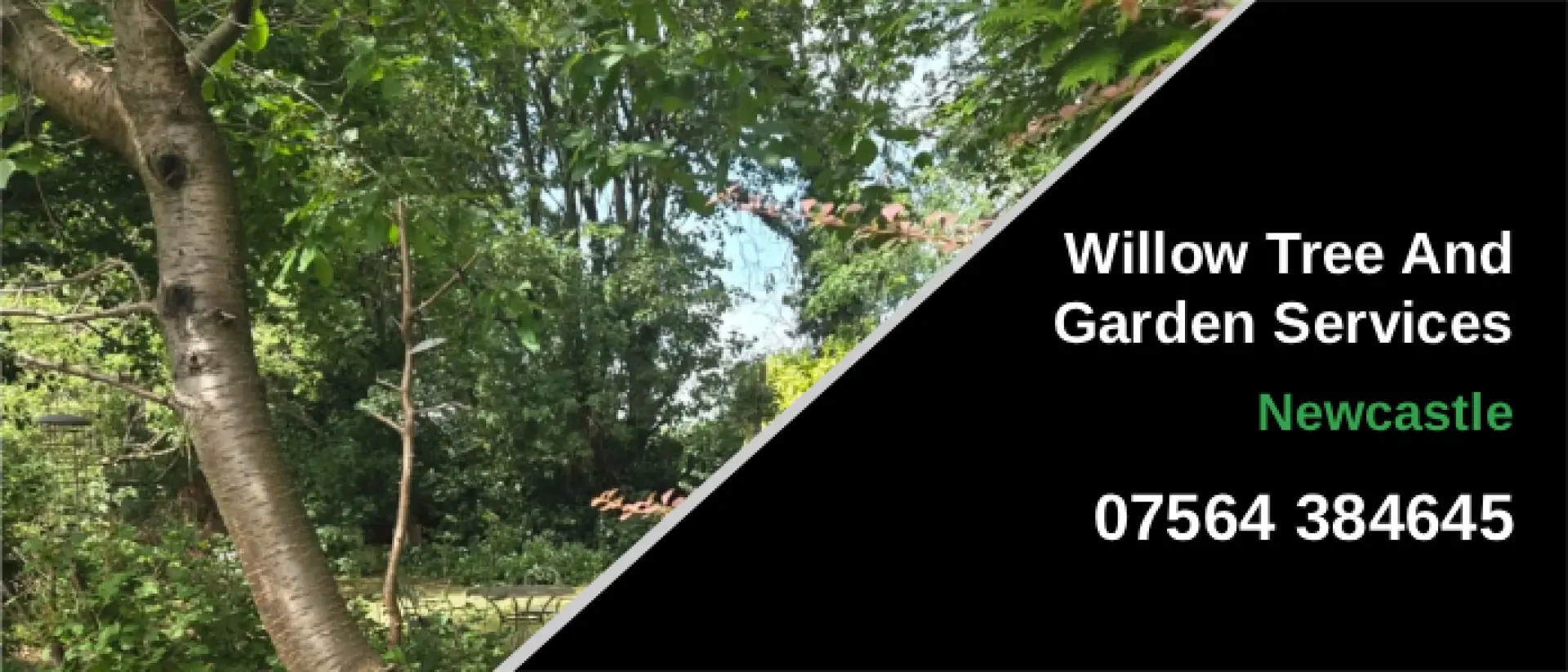 Contact Us for Expert Tree Surgery Services in Your Area