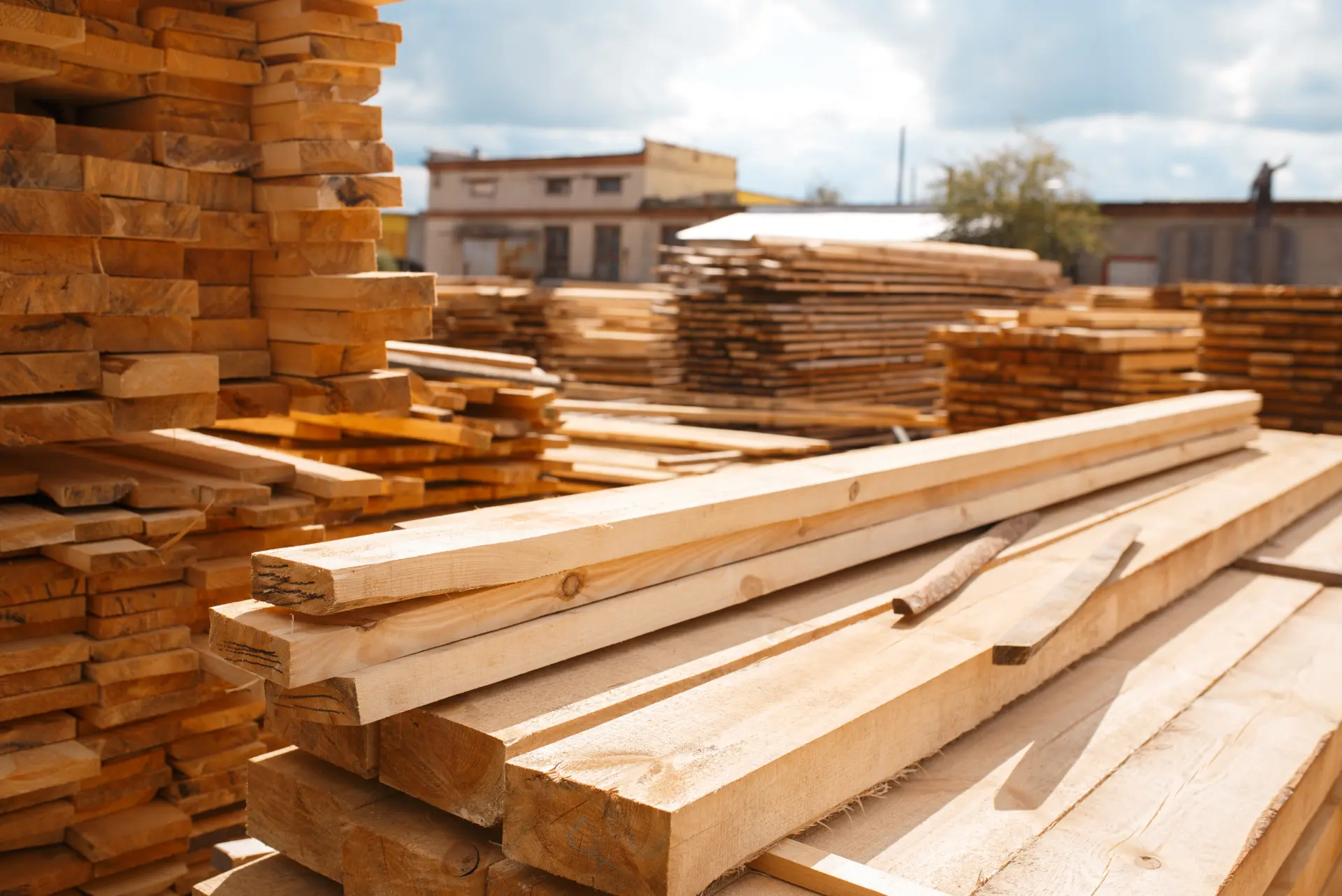 Different Types of Timber Available from Suppliers