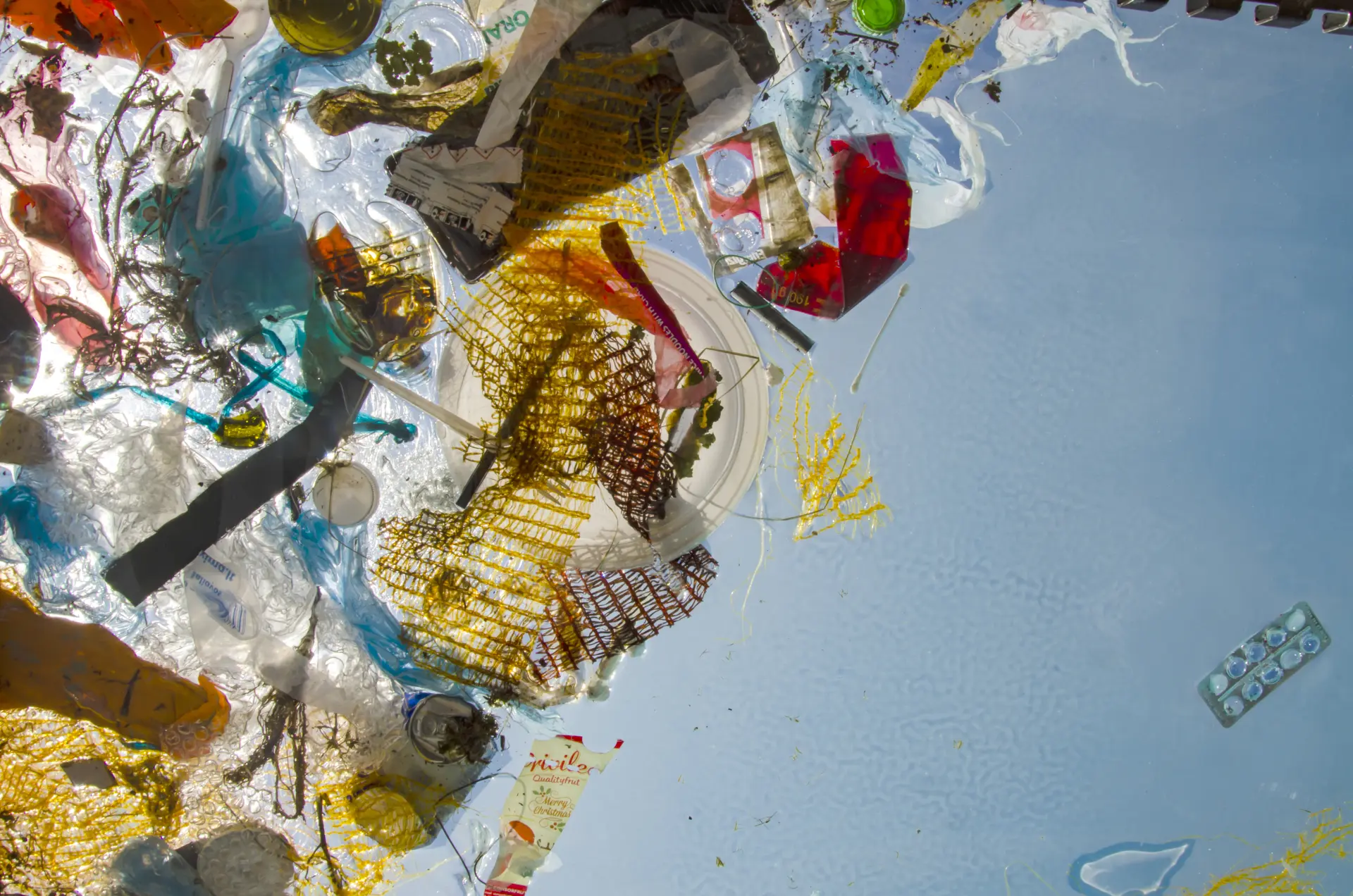The Environmental Impact of Poor Waste Disposal Explained