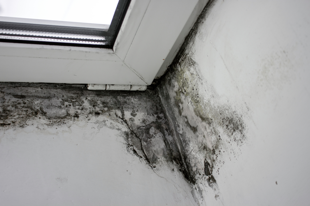 What Is Basement Tanking and How Does It Work?