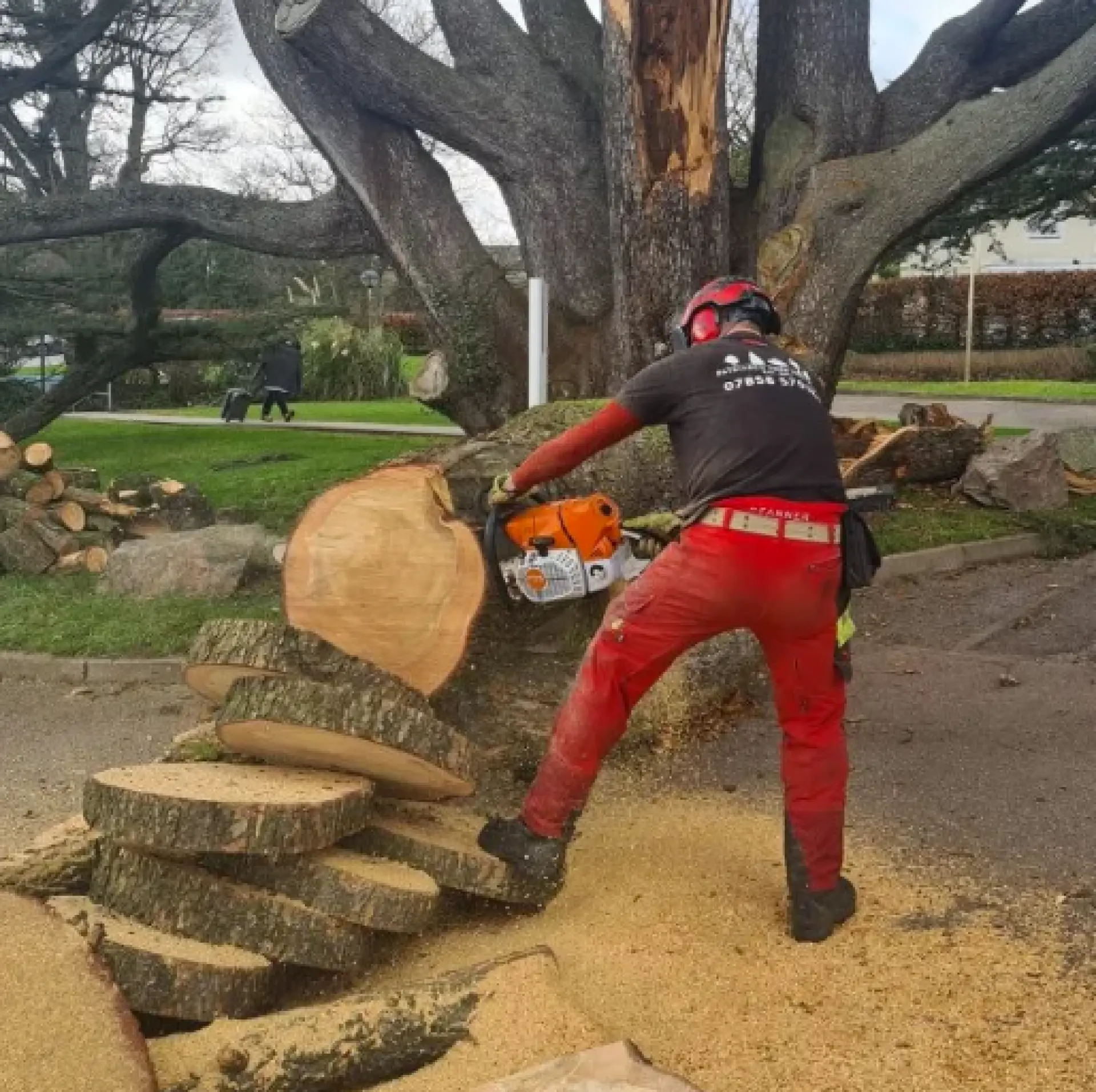 Tree Care Services Bath, Corston and Midford
