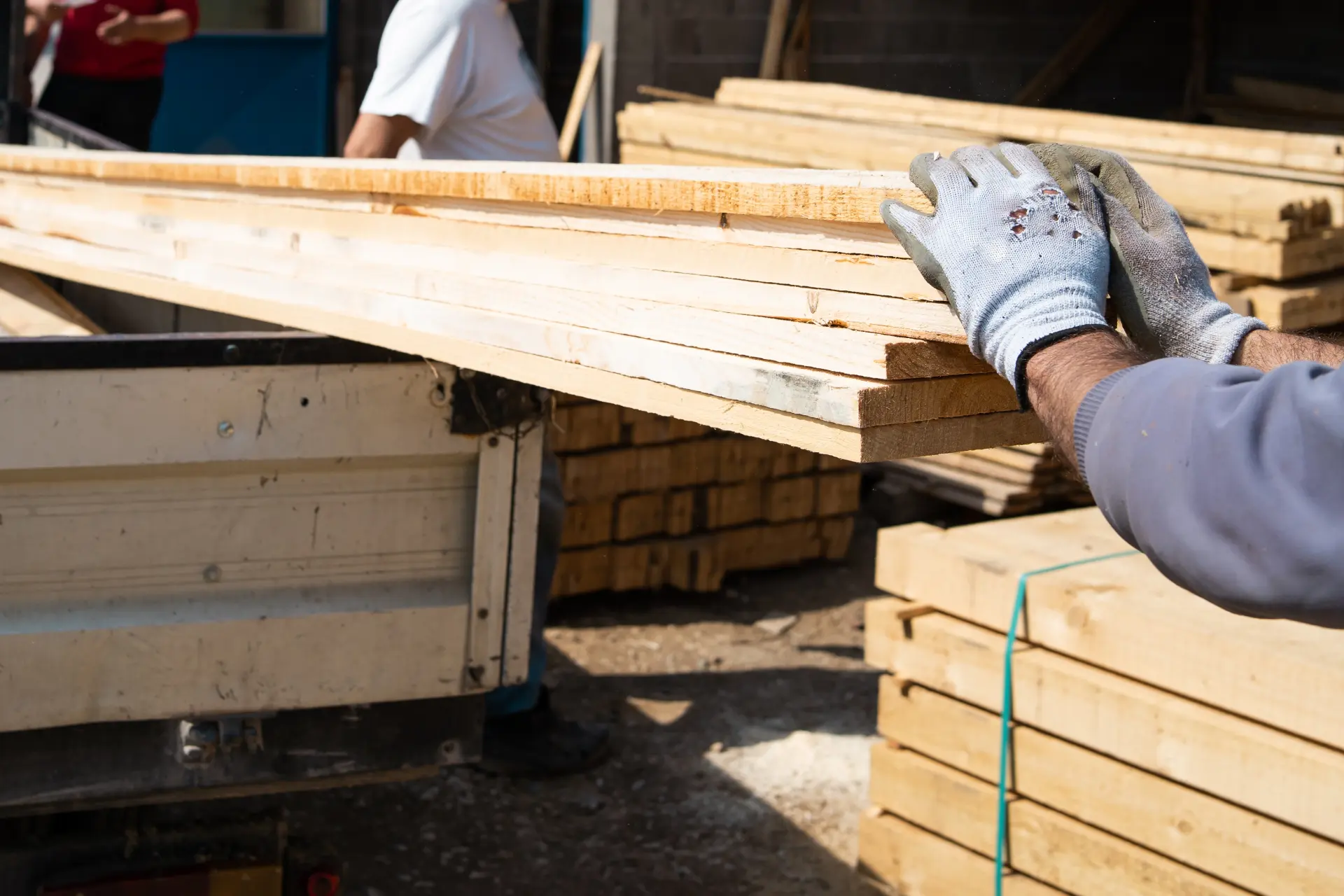 Common Types of Timber Used in Construction Explained